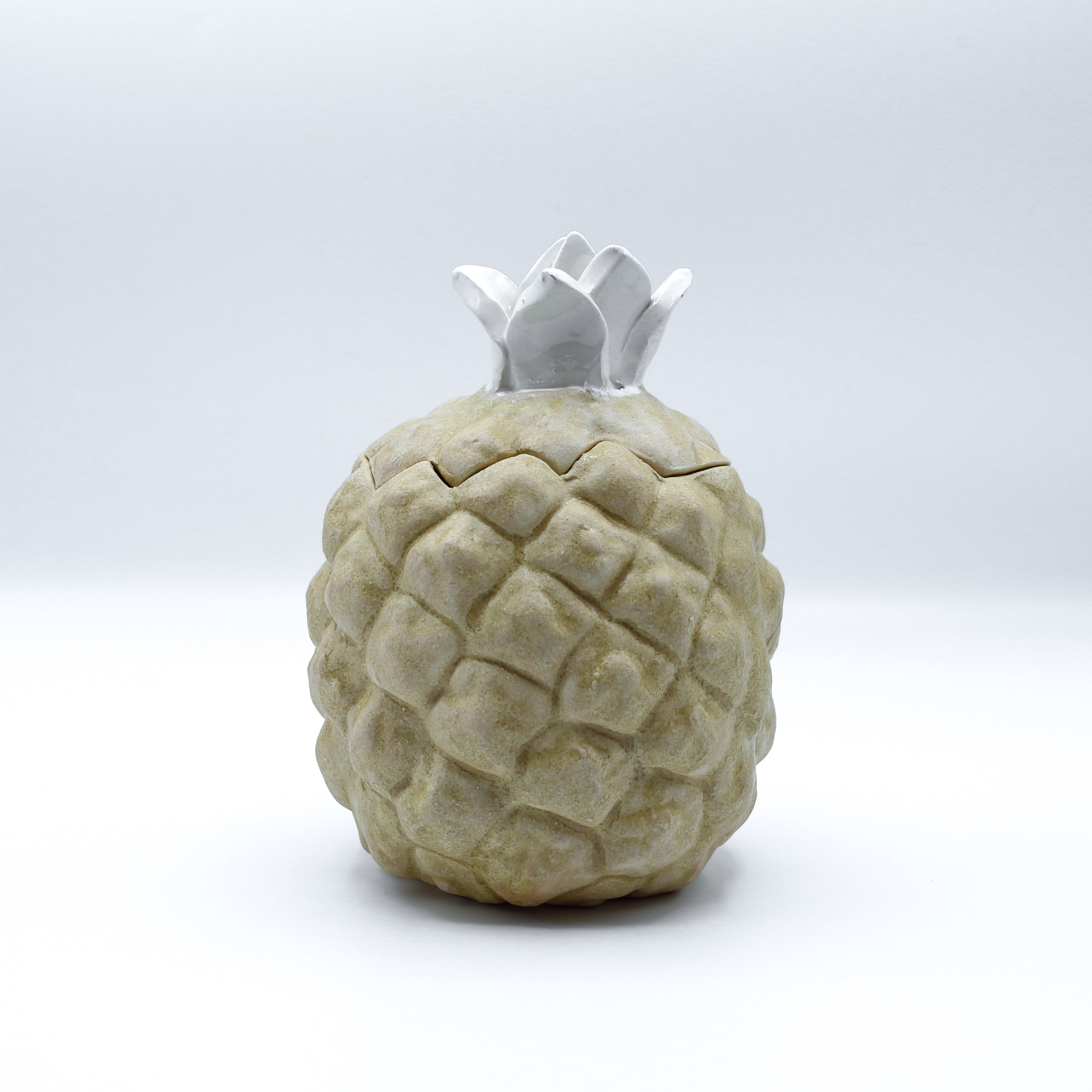 Mini Pineapple Containers – The Current Gallery at Baha Mar I CTF BM ...